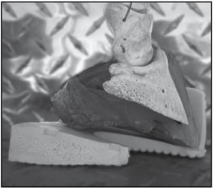 The Outlaw Pad - The Outlaw Shoe